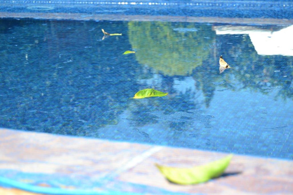 Get your Leaf Pool Cover and enjoy your time.